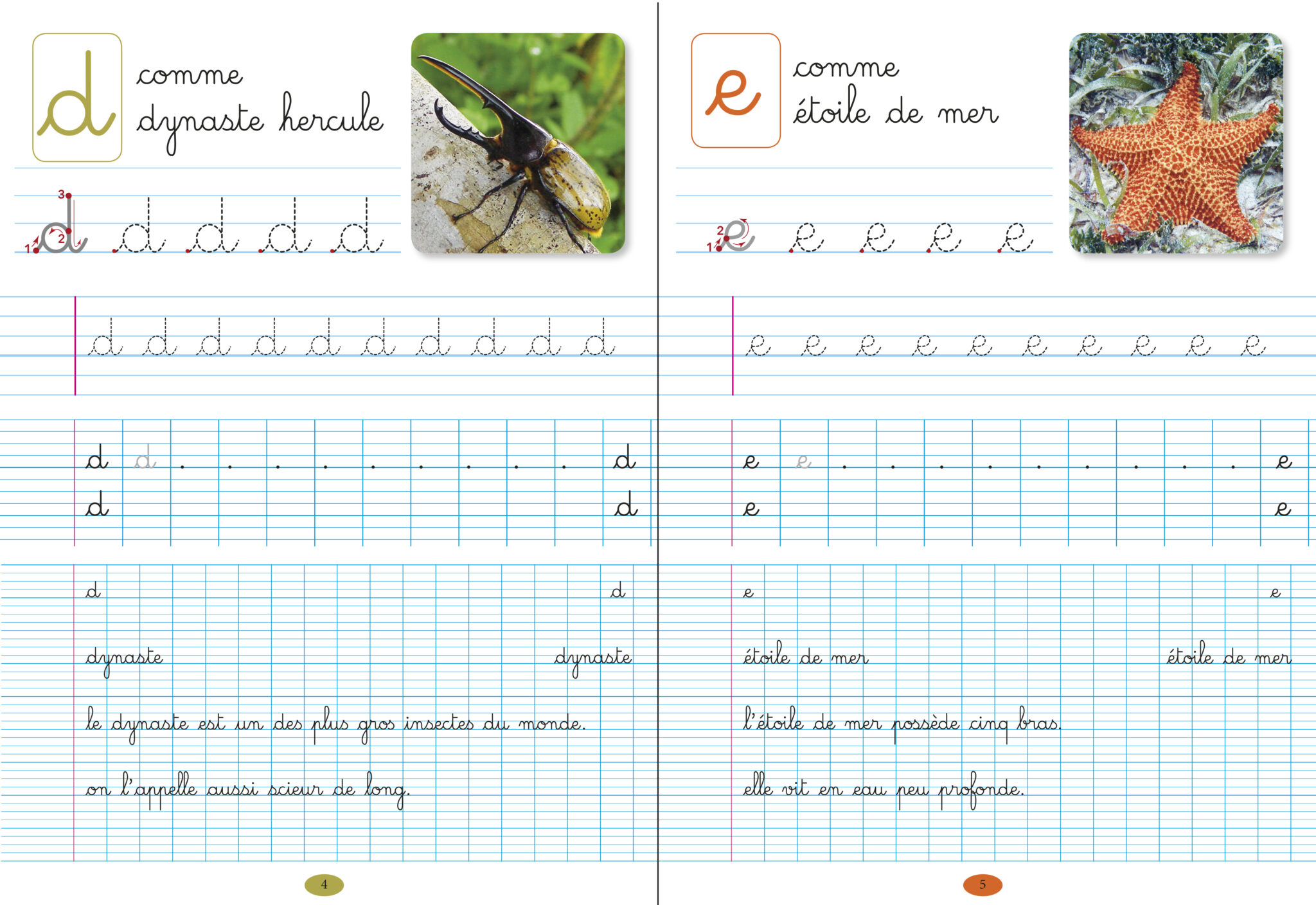 Vente en ligne du livre MON CAHIER D'ÉCRITURE DES ANTILLES, animaux d ...